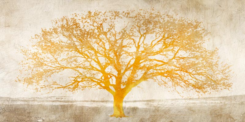 Shimmering Tree - obrazarna.cz