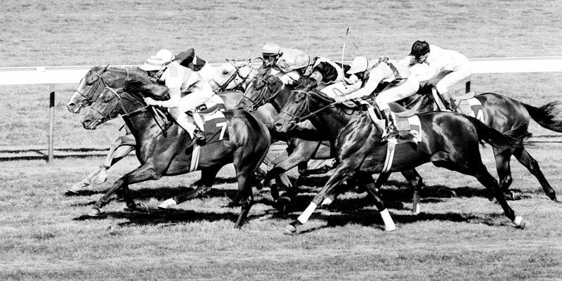 Horse Racing at Deauville, France - obrazarna.cz