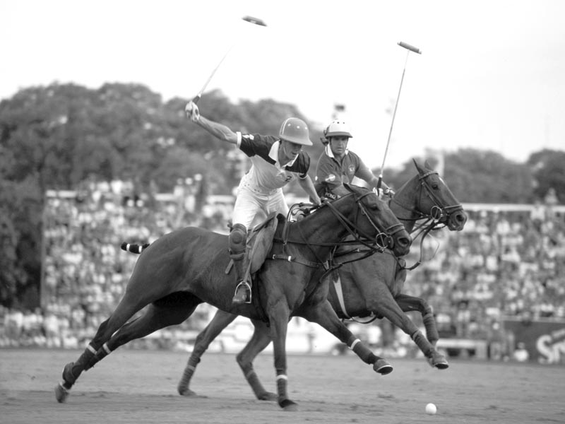 Polo players, Argentina - obrazarna.cz